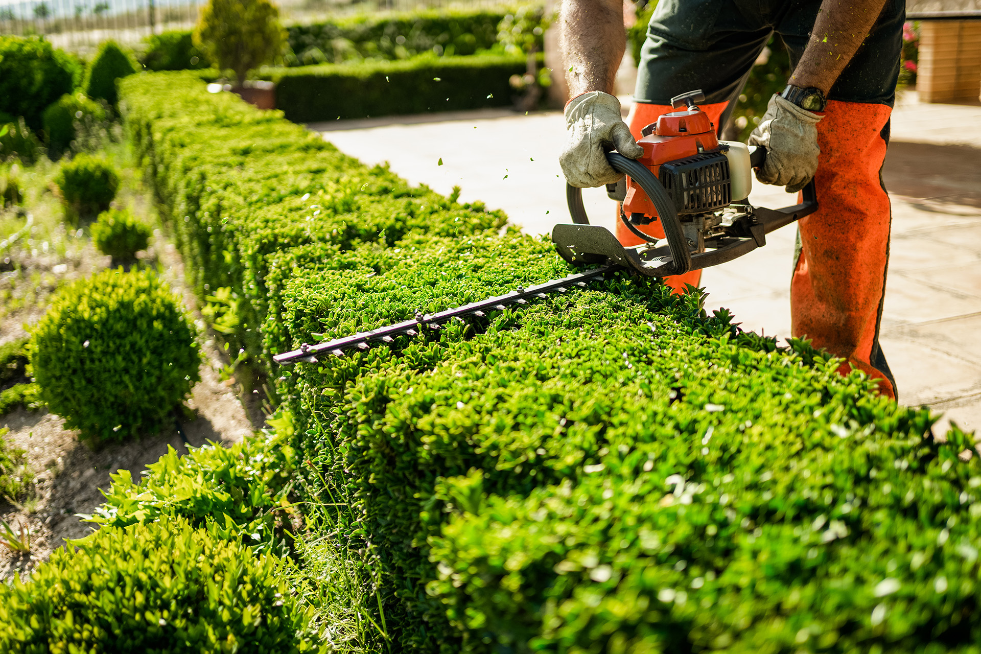 Comprehensive Landscape Maintenance in the Hamptons | GreenWave Atlantic