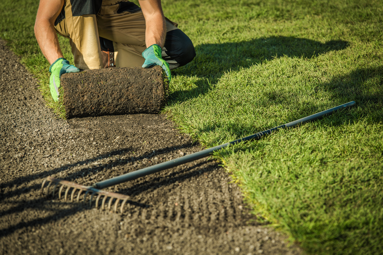 Professional SOD Installation in the Hamptons | GreenWave Atlantic